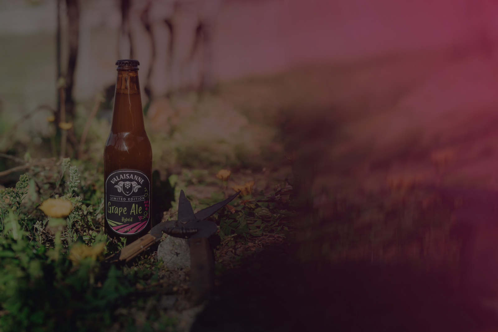 Grape Ale | Brasserie VALAISANNE